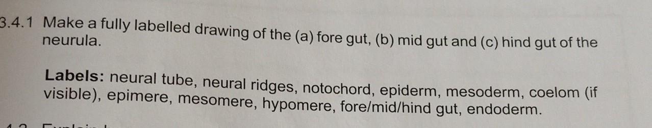 Solved 4.1 Make a fully labelled drawing of the (a) fore | Chegg.com