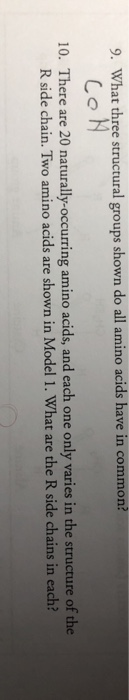 Solved 9. What three structural groups shown do all amino | Chegg.com