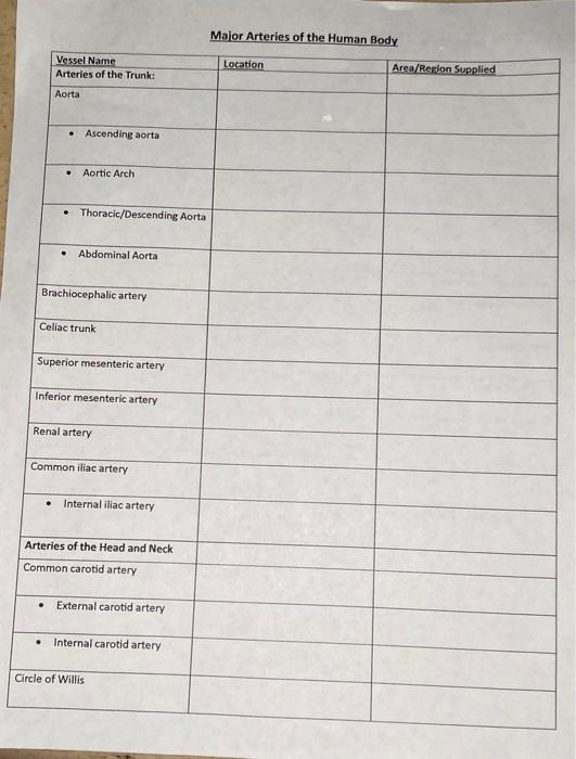 Solved Vessel Name Veins of the Trunk: Superior vena cava | Chegg.com