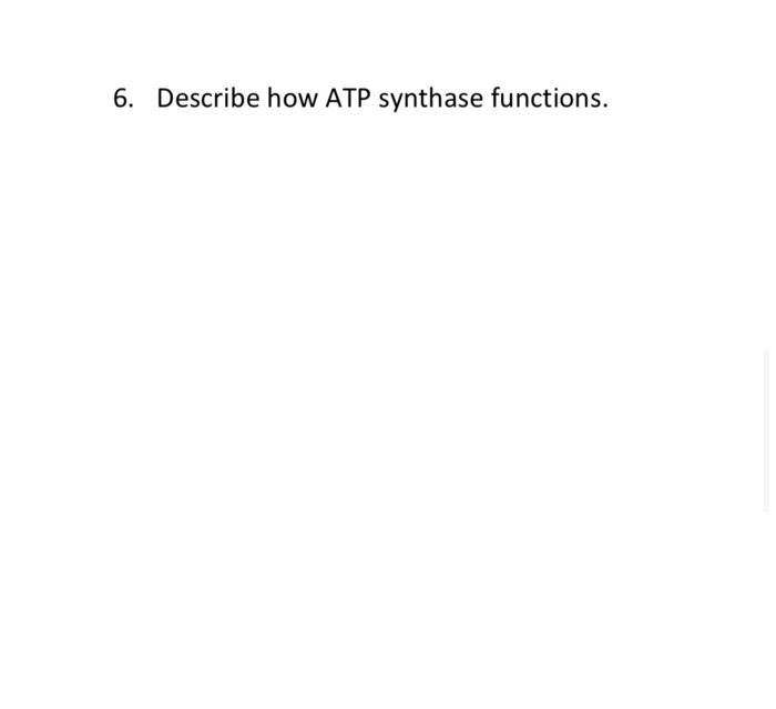 Solved 6. Describe how ATP synthase functions. | Chegg.com