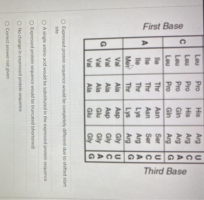 Solved Given the coding strand DNA sequence below, what | Chegg.com