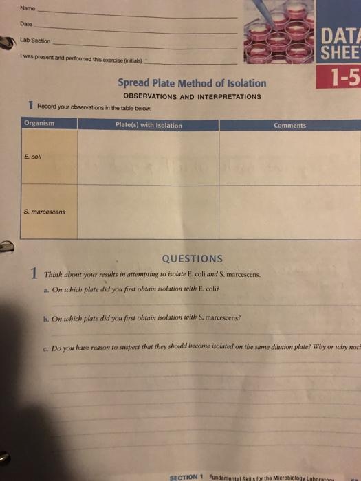 Solved Name Date Lab Section I was present and performed | Chegg.com