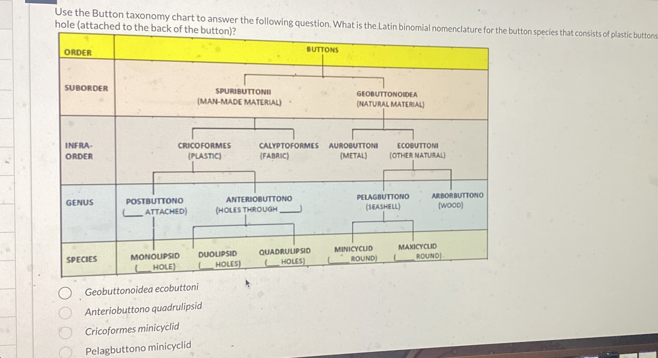 Solved Use the Button taxonomy chart to answer the following | Chegg.com