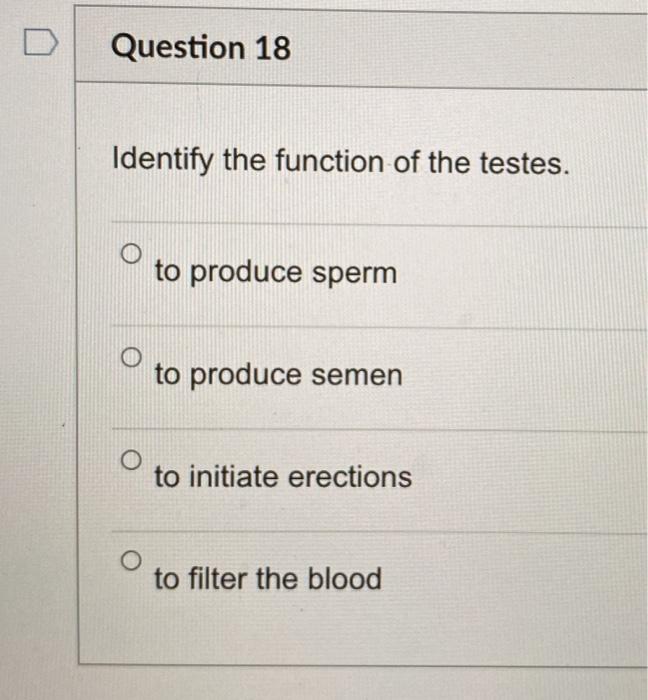 Solved Question 18 Identify the function of the testes. O to | Chegg.com