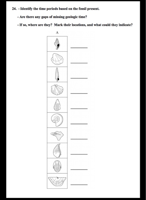 Solved 24. - Identify the time periods based on the fossil | Chegg.com