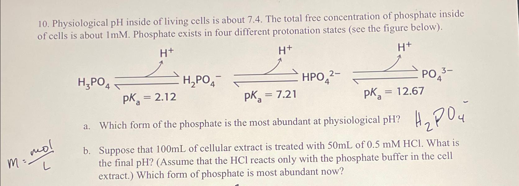 Solved Physiological pH ﻿inside of living cells is about | Chegg.com