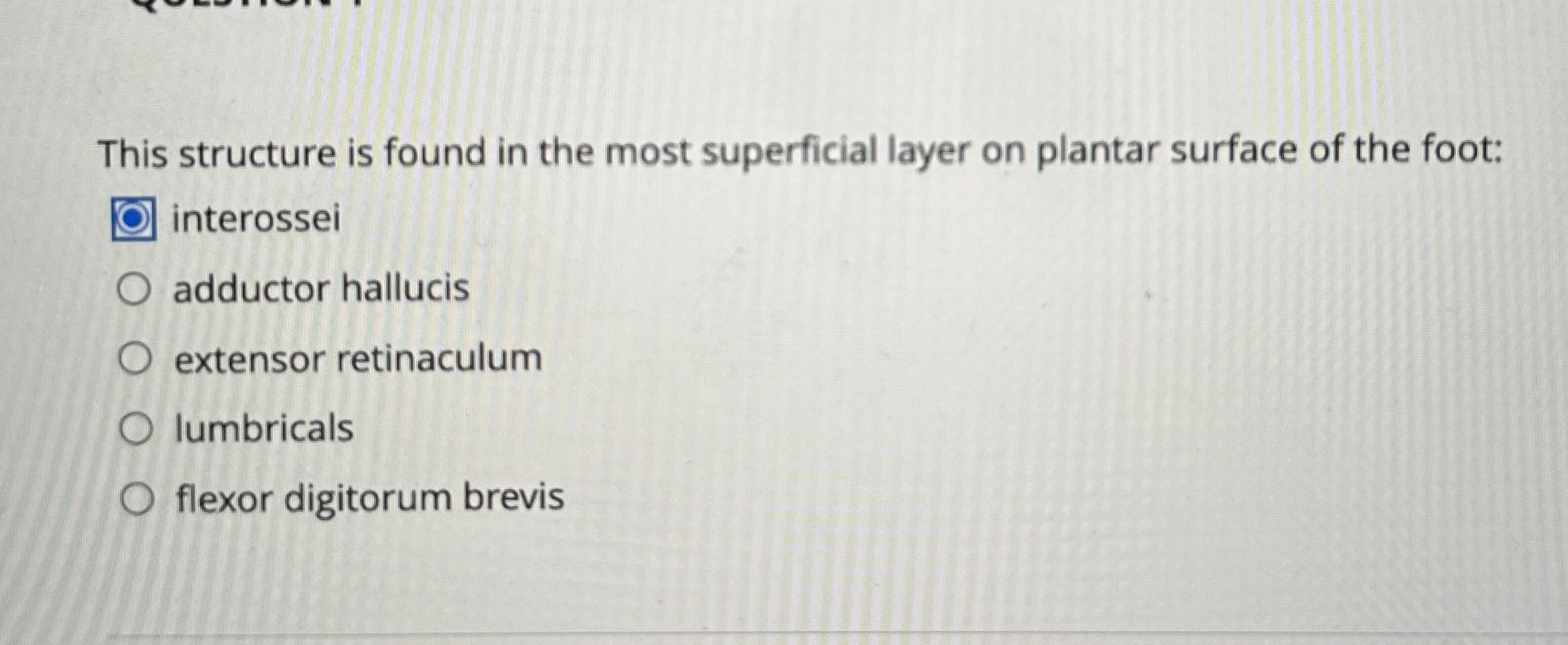 Solved This structure is found in the most superficial layer | Chegg.com