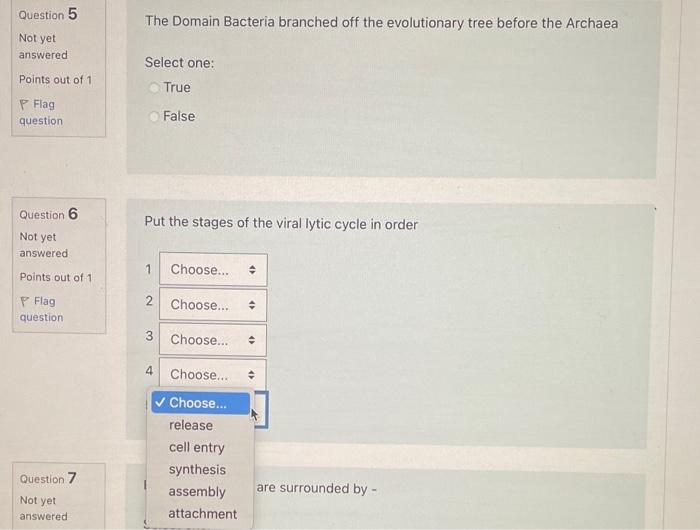 Solved Match the prokaryotic cell part with its role. | Chegg.com