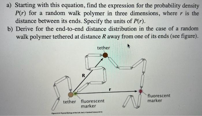 Solved in the absence of tethering, a random walk model of | Chegg.com