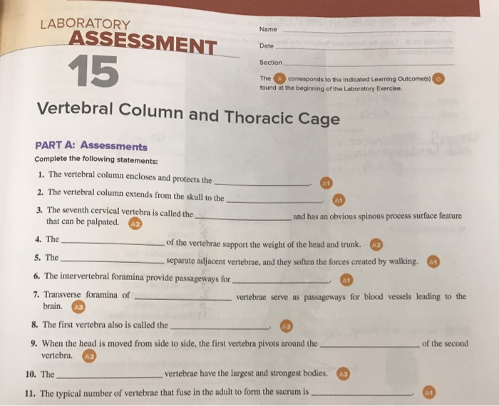 Solved Name LABORATORY ASSESSMENT 5 Date Section The | Chegg.com