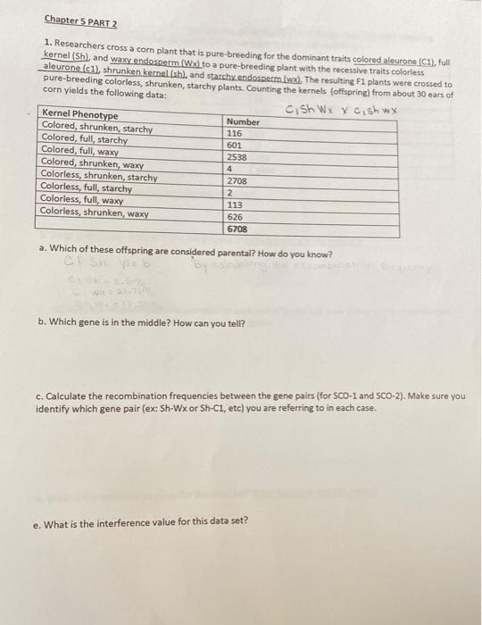 Solved Chapter 5 PART 2 1. Researchers cross a corn plant | Chegg.com