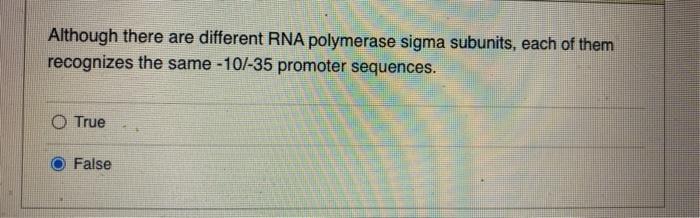 Solved Although there are different RNA polymerase sigma | Chegg.com
