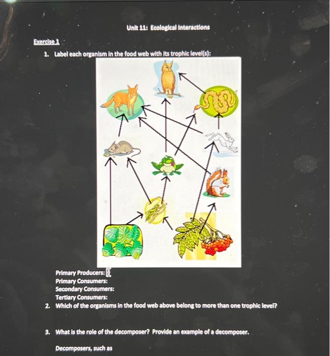Solved Label each organism in the food web with its trophic | Chegg.com