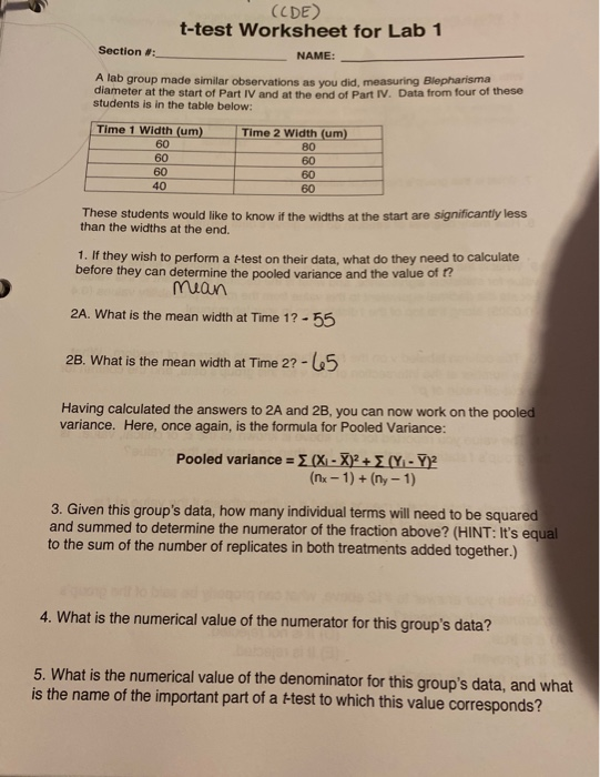 Solved (CDE) t-test Worksheet for Lab 1 Section : NAME: A | Chegg.com