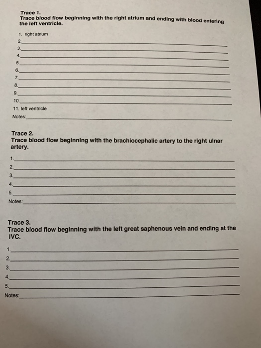 Solved Trace 1. Trace blood flow beginning with the right | Chegg.com