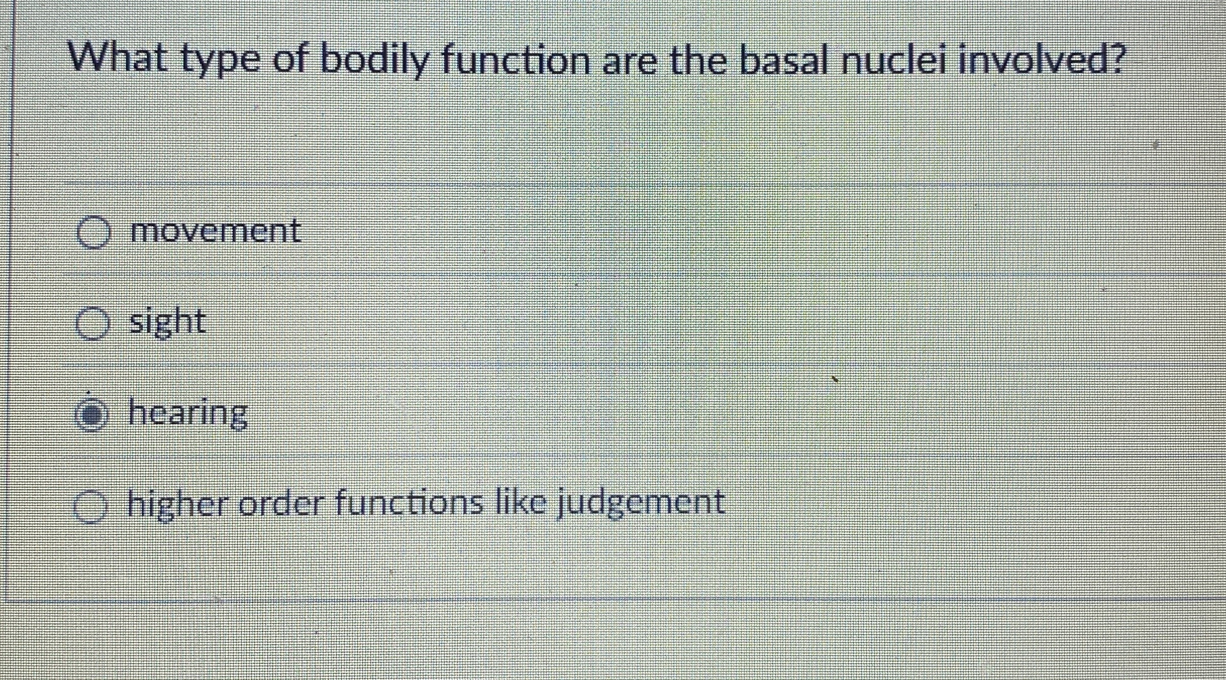 Solved What type of bodily function are the basal nuclei | Chegg.com