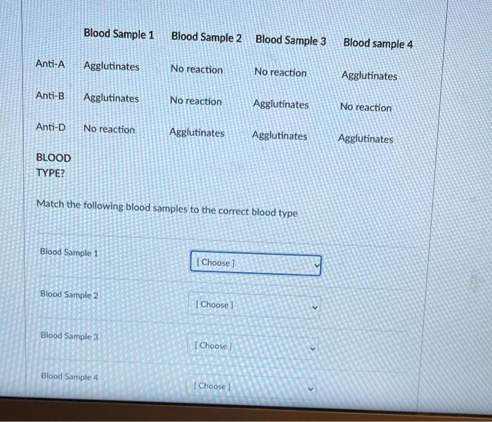 Solved Blood Sample 1 Blood Sample 2 Blood Sample 3 Blood | Chegg.com