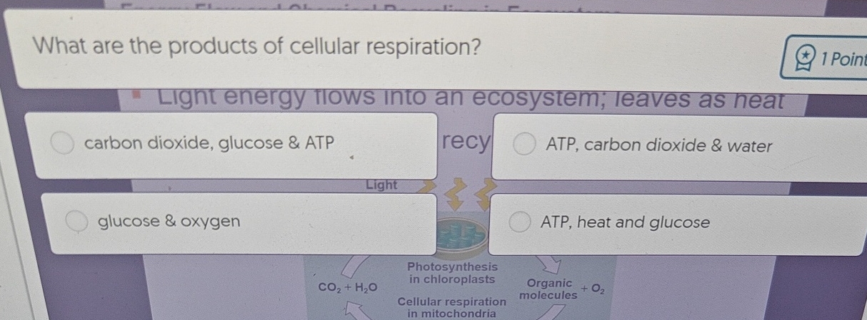 Solved What are the products of cellular respiration?1 | Chegg.com