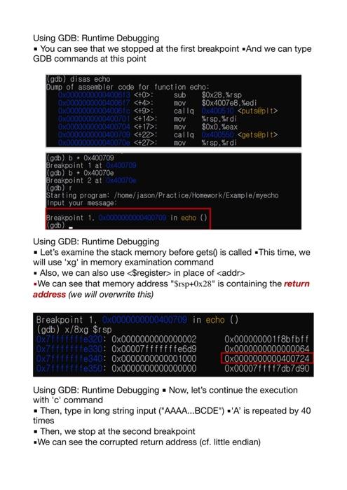 Solved I have the exploit-myecho.py code I need the | Chegg.com