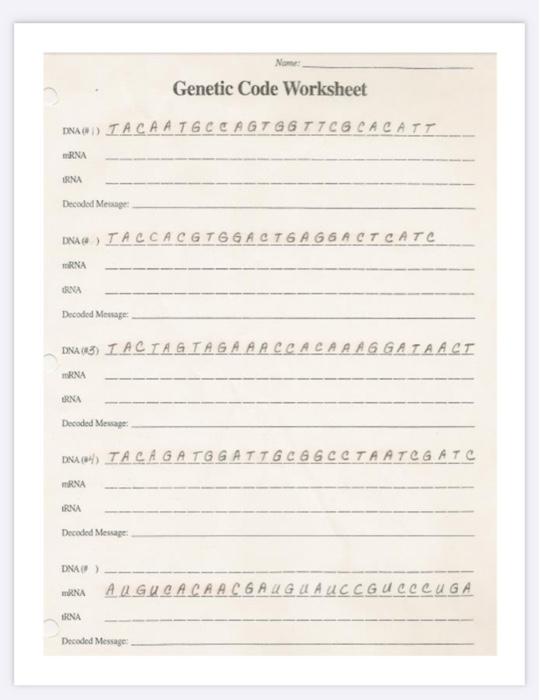 Solved No Genetic Code Worksheet DNAO) TACAAT | Chegg.com