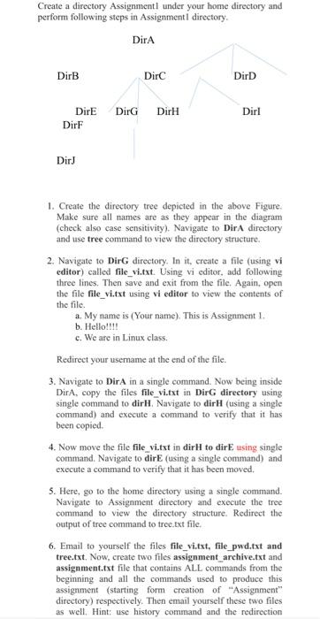 Solved Create a directory Assignment under your home | Chegg.com