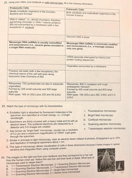 Solved 23. Match the type of microscopy with its | Chegg.com