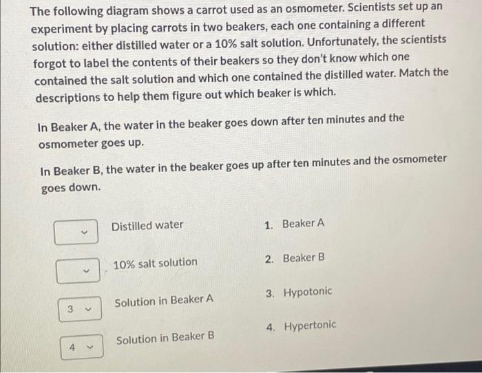 Solved The following diagram shows a carrot used as an | Chegg.com