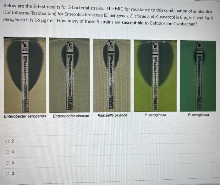 Solved Below are the E-test results for 5 bacterial strains. | Chegg.com
