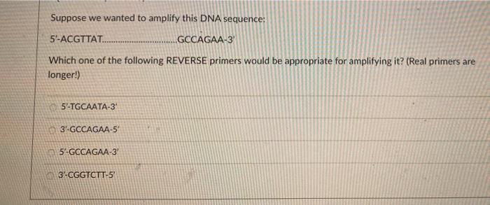 Solved Suppose we wanted to amplify this DNA sequence: | Chegg.com