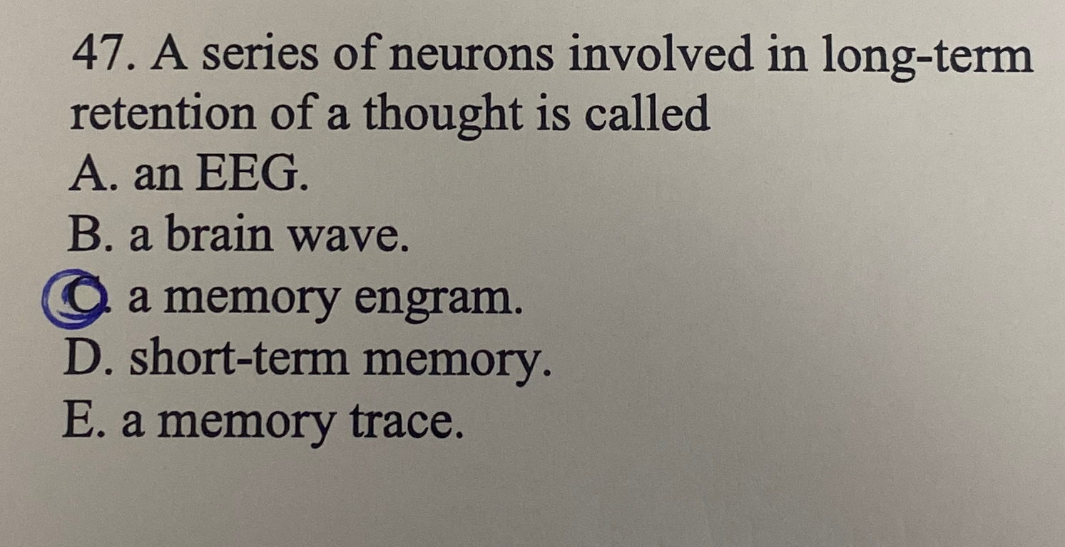 Solved A series of neurons involved in long-term retention | Chegg.com