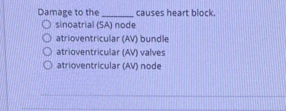 Solved Damage to thecauses heart block.sinoatrial (SA) | Chegg.com
