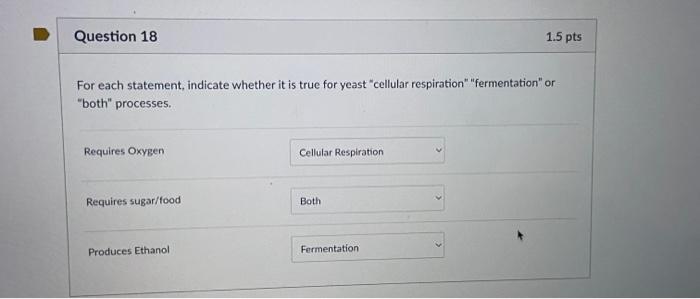 Solved For each statement, indicate whether it is true for | Chegg.com