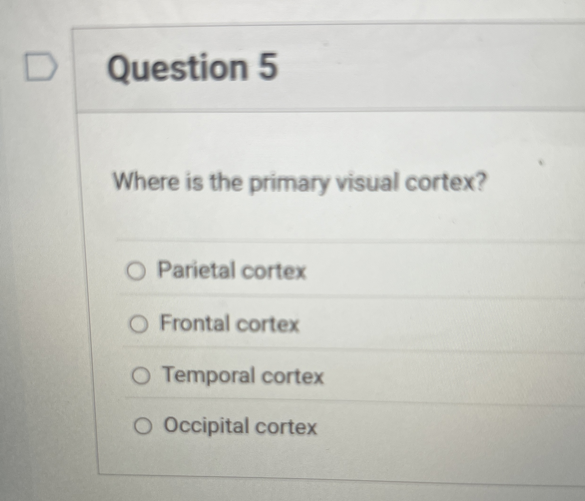 Solved Question 5Where is the primary visual cortex?Parietal | Chegg.com