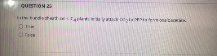 Solved QUESTION 25 In the bundle sheath cells. C4 plants | Chegg.com