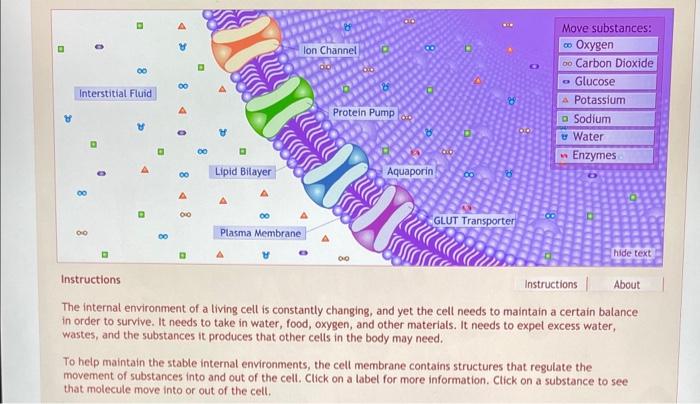 Section 6: Diffusion and Osmosis Instructions In this | Chegg.com