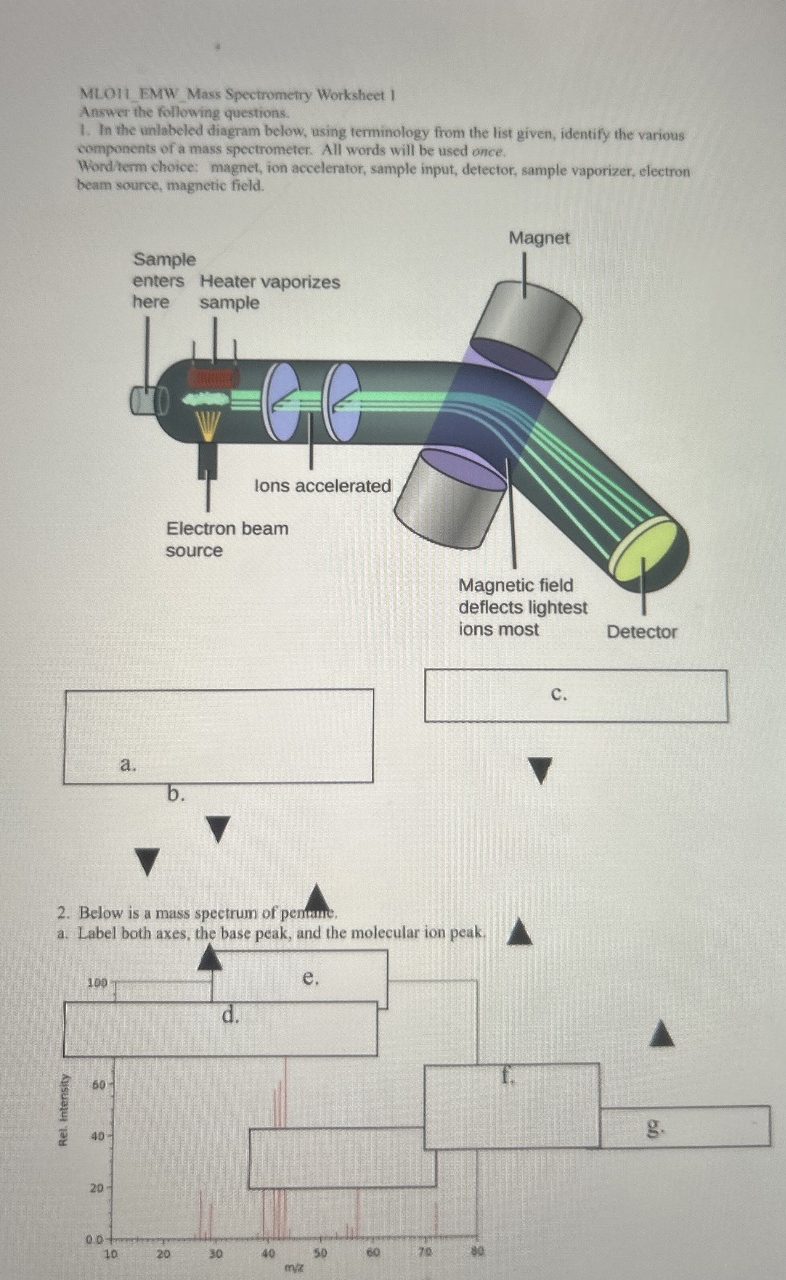 Solved MLOII EMW Mass Spectrometry Worksheet 1Answer the | Chegg.com