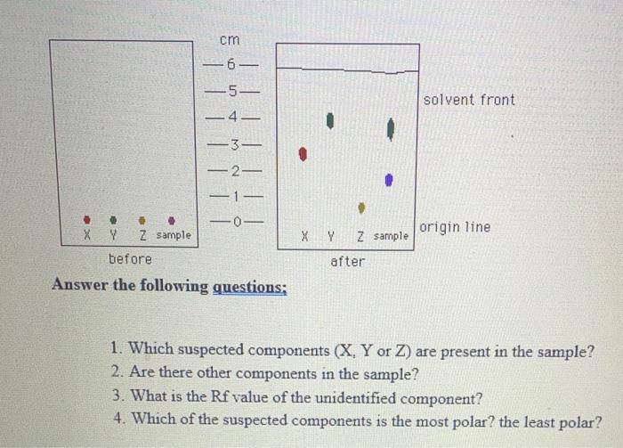Solved cm —6— -5- solvent front - 4 -3- 2 — X Y origin line | Chegg.com