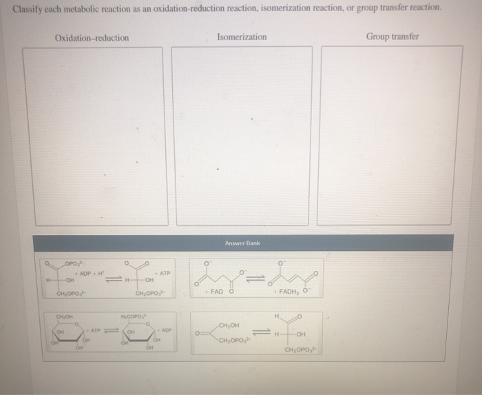 Solved Classify each metabolic reaction as an | Chegg.com