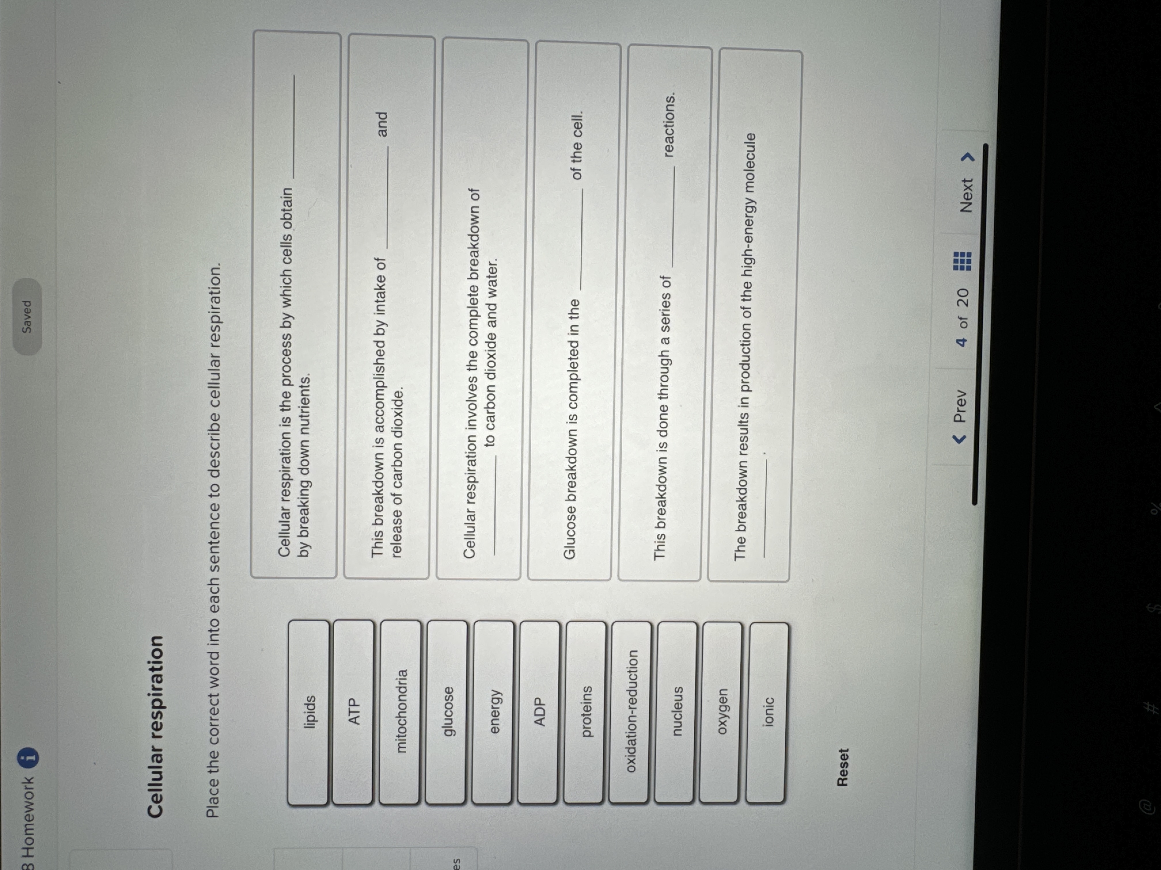 Solved Cellular respirationPlace the correct word into each | Chegg.com