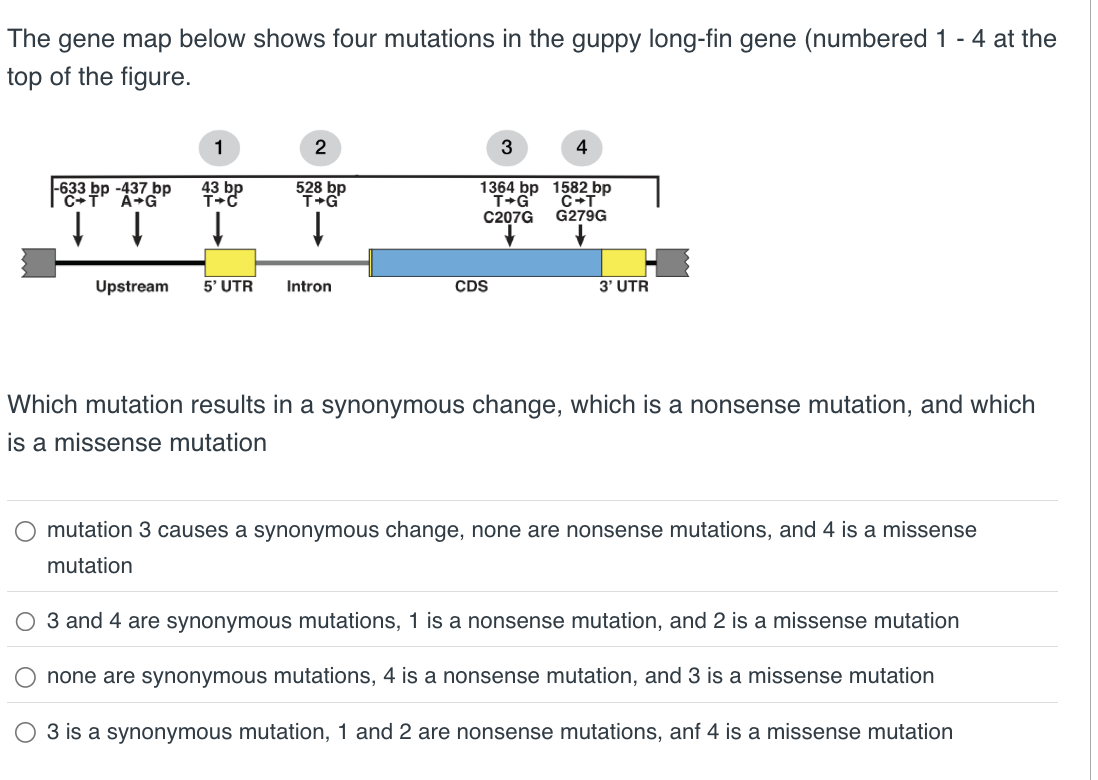 Solved The gene map below shows four mutations in the guppy | Chegg.com