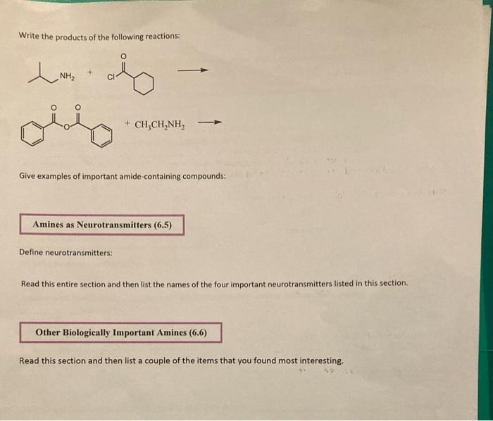 Solved Write the products of the following reactions: LH NH2 | Chegg.com