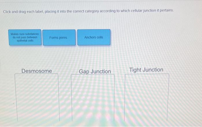 Solved Click and drag each label, placing it into the | Chegg.com