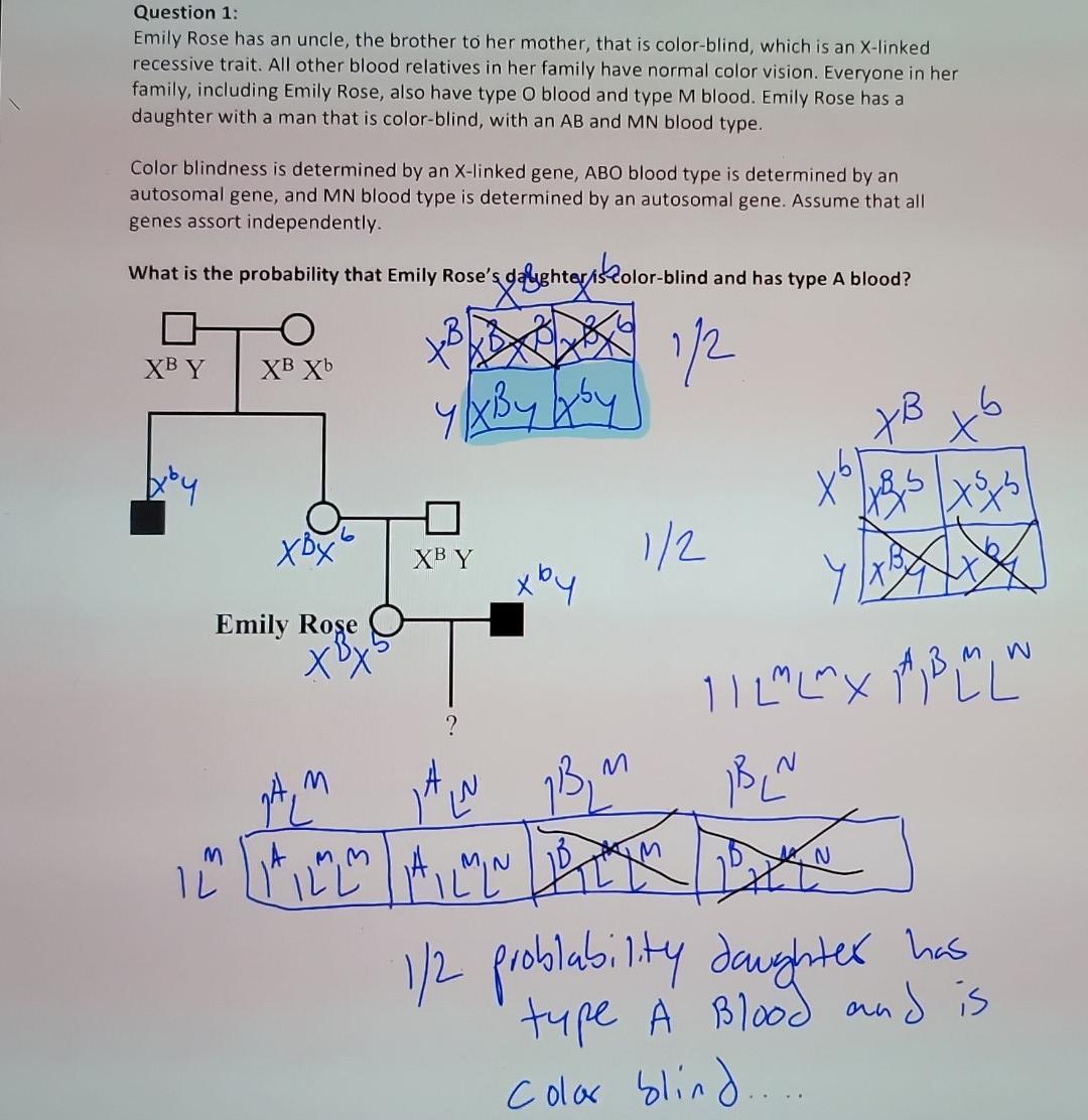 Solved Question 1: Emily Rose has an uncle, the brother to | Chegg.com