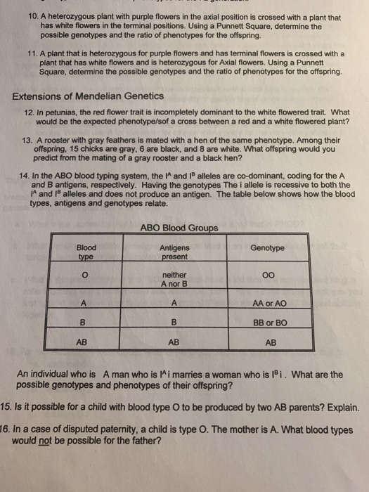 Solved 10. A heterozygous plant with purple flowers in the | Chegg.com