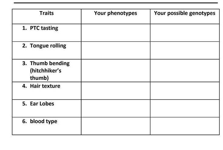 Solved Traits Your phenotypes Your possible genotypes 1. PTC | Chegg.com