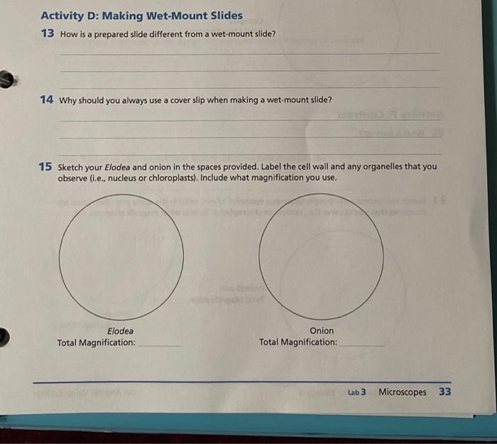 Solved Activity D: Making Wet-Mount Slides 13 How is a | Chegg.com
