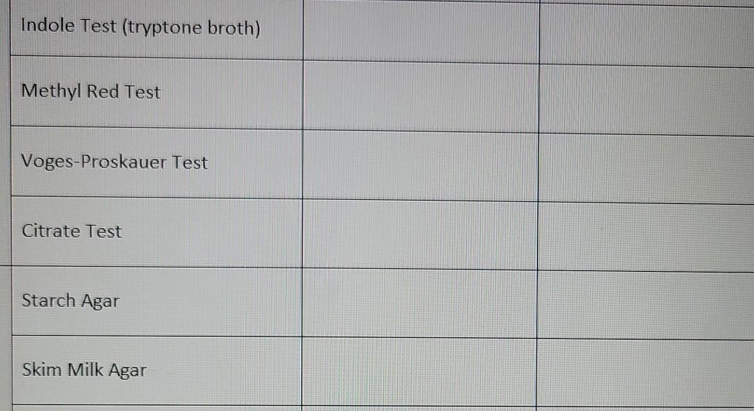 Solved Indole Test (tryptone broth) Methyl Red Test | Chegg.com