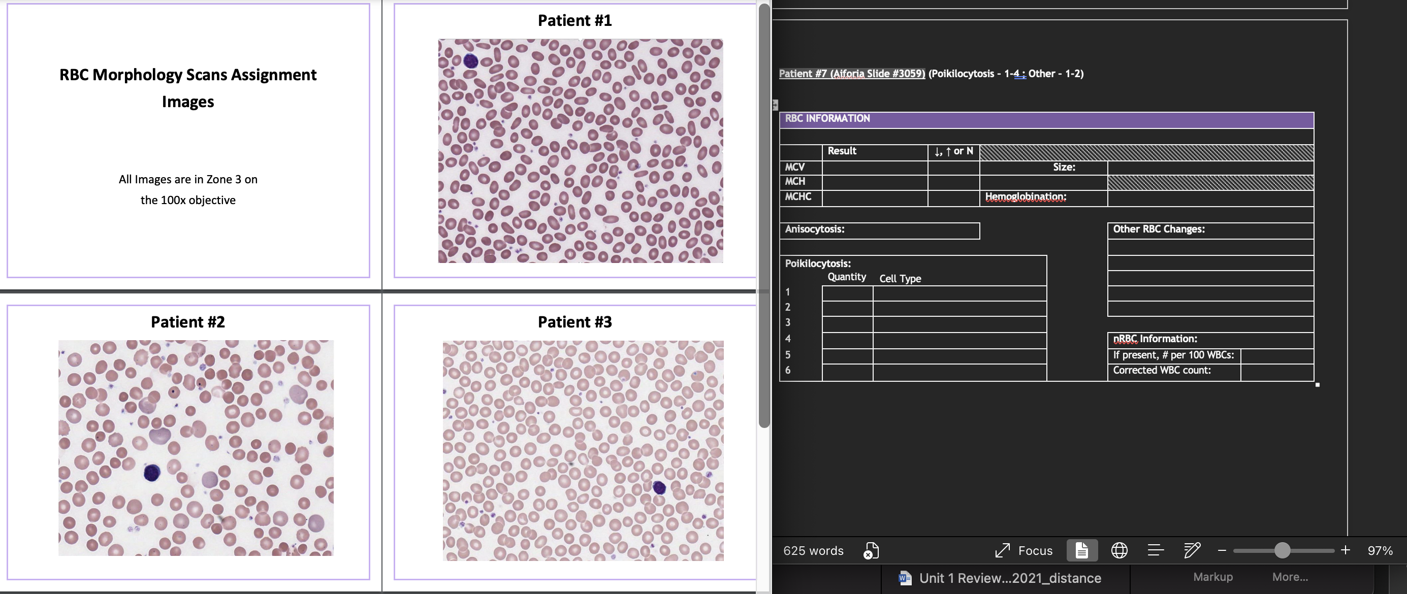 Solved Complete an RBC Morphology Scan for each patient | Chegg.com