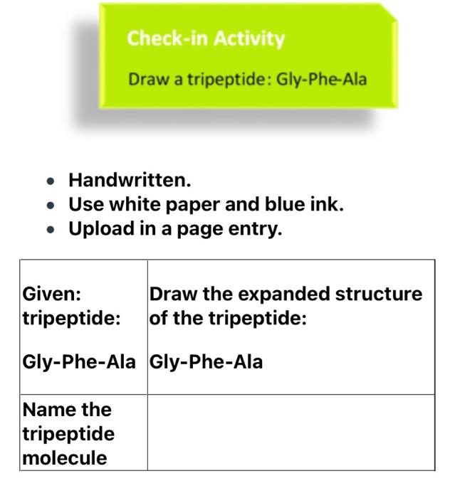Solved Check-in Activity Draw a tripeptide: Gly-Phe-Ala | Chegg.com