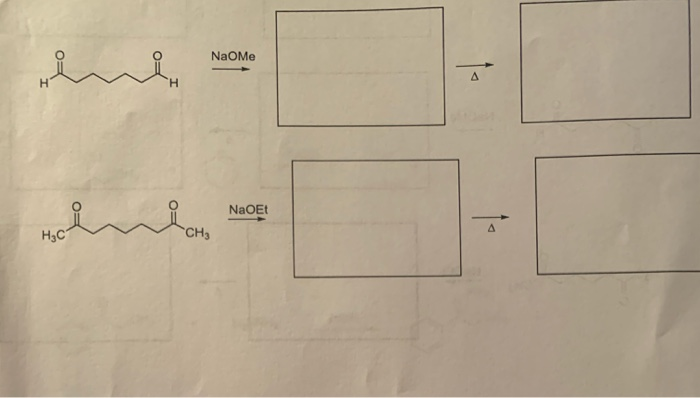 Solved NaoMe NaOEt | Chegg.com